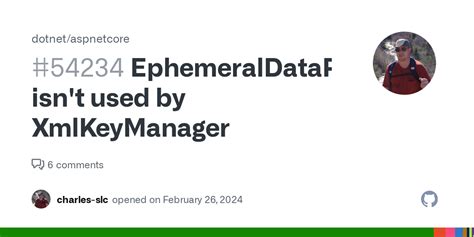 Ephemeraldataprotectionprovider Isnt Used By Xmlkeymanager · Issue