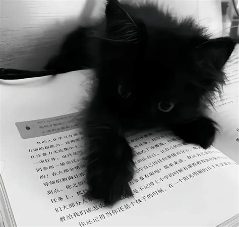 Découvrez 16 Idées صور بنات ابيض اسود كول Fond Decran Pastel Fond D