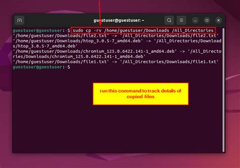 How To Copy Directory Linux 4 Best Methods