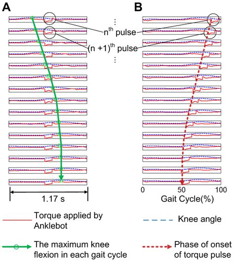 Transient Behavior Under Perturbation A Shows The Knee Angle The Download Scientific Diagram