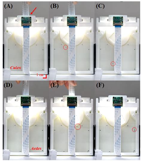 Github Gs336 Nhri Smart Mosquito Trap System A Smart Mosquito Trap System With Living