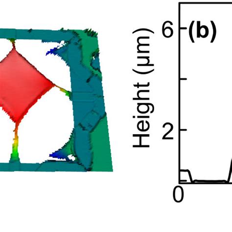 A White Light Interferometry Height Map Of The Strain Relief