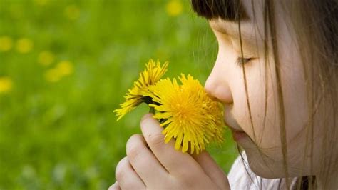 Обои на рабочий стол Девочка с одуванчиками стоит перед драконом By Seho Park обои для