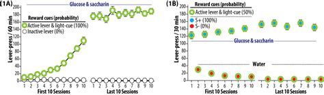 Distinct Memory Engrams In The Infralimbic Cortex Of Rats Control Opposing Environmental Actions