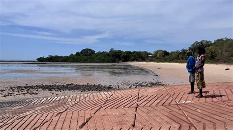 Class Action Launched Against ‘discriminatory Work For The Dole Cdp