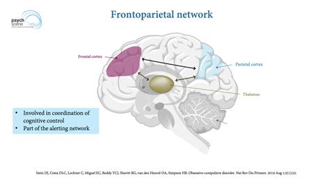 Obsessive Compulsive Disorder Neurobiology And Treatment