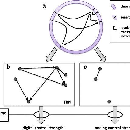 Digital CTC Comparing Current Results With Those From 32 Although Download Scientific