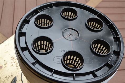 automated aeroponics system using raspberry pi 10 steps with