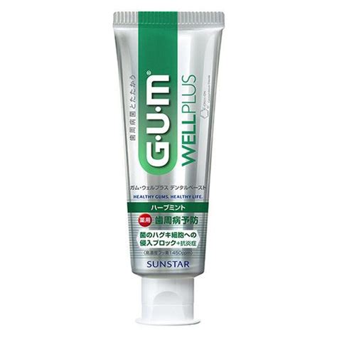 껌 웰 플러스 덴탈 Paste 허브 민트 125g 썬스타 Gum 치약 블럭 살균치 주병충치 구취 치석 제거 오름 농도 불소 재팬스토어 일본약 의약품 전문 직구 쇼핑몰