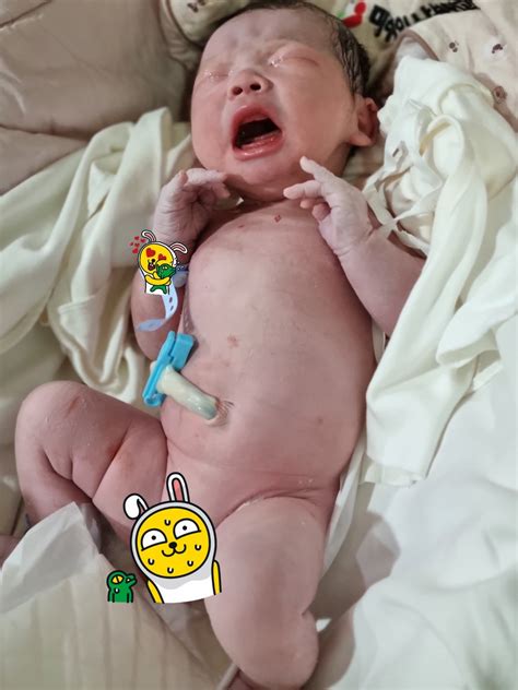 애국추 가능합니까 포텐 터짐 최신순 에펨코리아