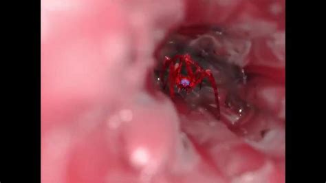 Mega Fuck Porn Videos