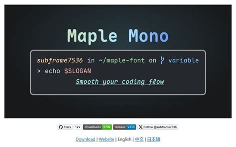 程序员的编程等宽字体maple mono下载地址