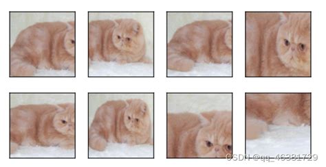 动手学pytorch（李沐）21 数据增广 mosaic增广 csdn博客