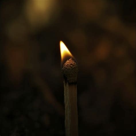 Free Ignited Match Flame Image Flame Match Fire Download At Stockcake