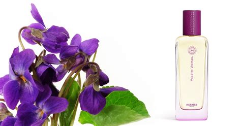 Violette Volynka Hermès фиалка моей мечты ~ Обзоры ароматов