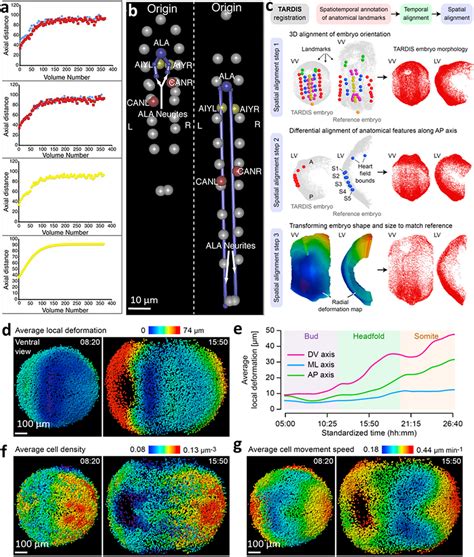 Combining Information From Multiple Samples Allows The Creation Of Download Scientific Diagram