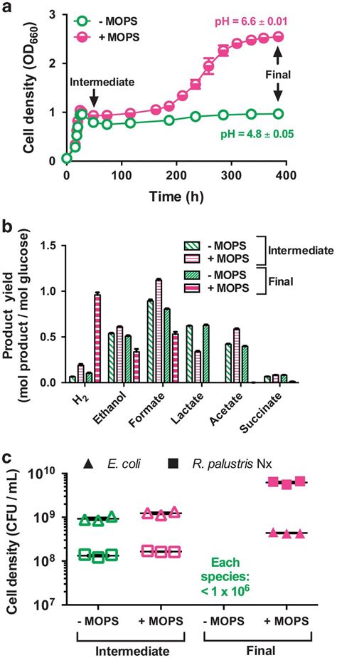 Rapid Fermentation By E Coli In Nh 4 Supplied Cocultures Results In Download Scientific