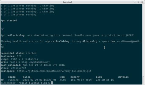 Deploying A Rails 5 App With Mongodb Redis And Carrierwave To Ibm