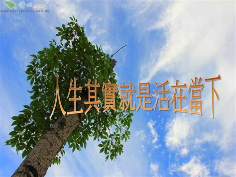 人生其實就是活在當下 YouTube