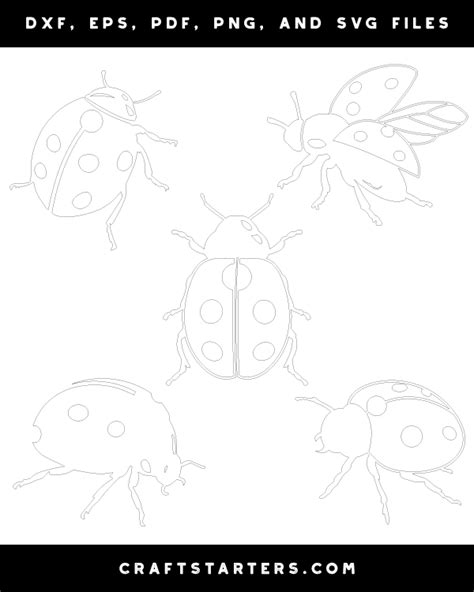 Detailed Ladybug Outline Patterns Dfx Eps Pdf Png And Svg Cut Files