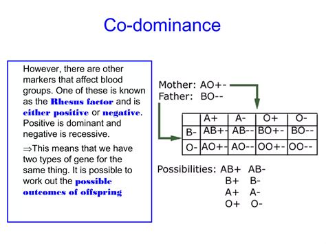 Modes Of Inheritance Ppt