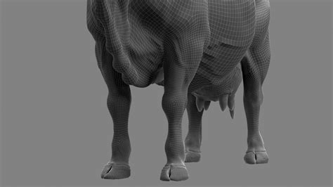 3d Dairy Cow Model Turbosquid 1480074