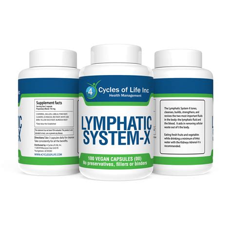 Lymphatic System X 4 Cycles Of Life Inc