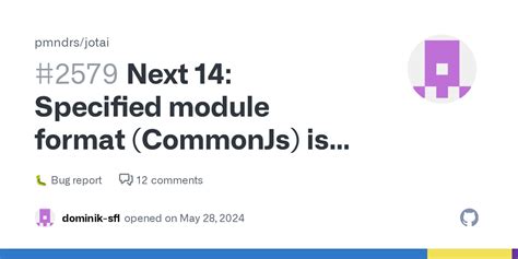 Next 14 Specified Module Format CommonJs Is Not Matching The Module