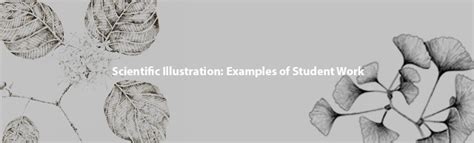 Work Science Examples