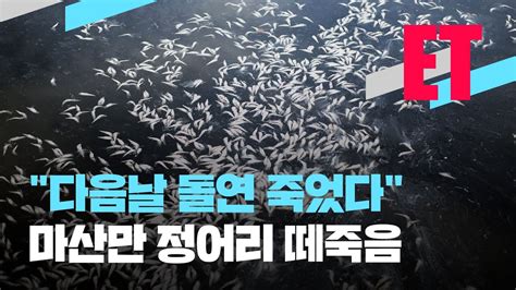[et] 정어리 100톤 ‘떼죽음 미스터리…고의로 버렸나 Kbs 2022 10 06 Youtube