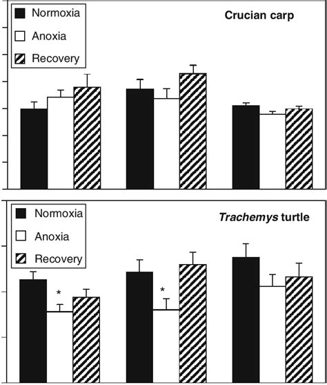 8 Brain Na K Atpase Activity Is Maintained In Anoxic Crucian Download Scientific Diagram