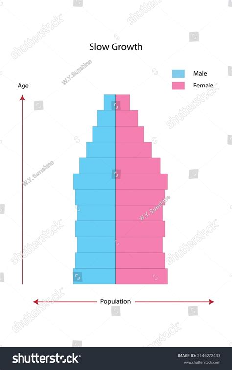Decreasing Population Pyramid 3 รายการ ภาพ ภาพสต็อกและเวกเตอร์