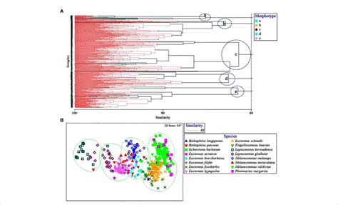 A Hierarchical Classification And Non Metric Multidimensional Scaling