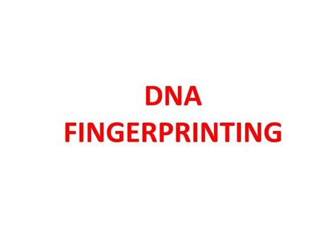 PPT DNA Fingerprinting PowerPoint Presentation Free Download ID