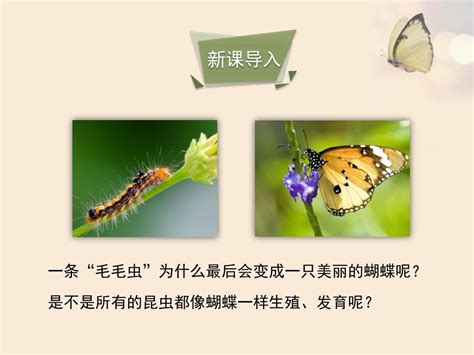 Ppt Word
