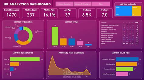 Ibm Hr Analytics Employee Dashboard مستقل Ibm Hr Analytics Employee Dashboard مستقل