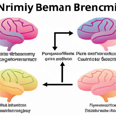 Exploring What Part Of The Brain Controls Decision Making The Enlightened Mindset