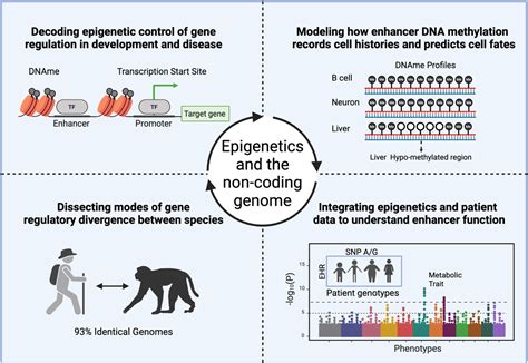 The Science Center For Computational Systems Biology Vanderbilt