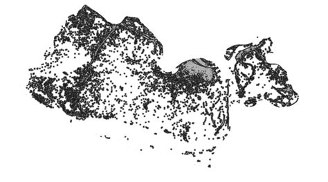 Syed Riad Morshed On Linkedin Mapping Spatialdatascience Spatialcomputing 30daymapchallenge