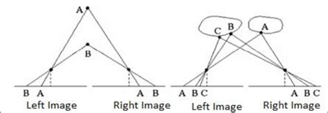 Right Establishing And Left Not Establishing The Order Adverb