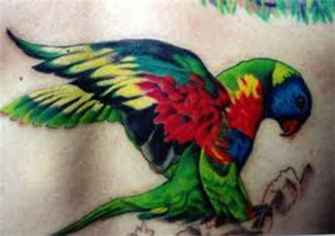 Parrot Tattoos And Designs Parrot Tattoo Meanings And Ideas Hubpages