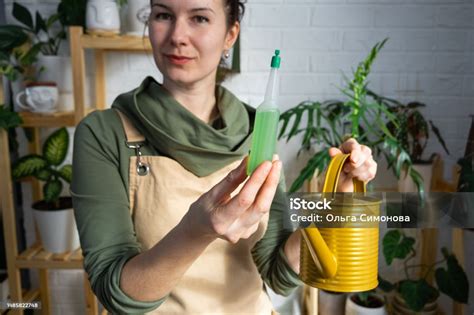 화분에 심은 식물을위한 물방울 비료 발달 촉진제 성장 촉진제 가정 식물 관리 액체 한 병이 여자의 손에 삽입됩니다 가정 작물 생산 30 34세에 대한 스톡 사진 및 기타
