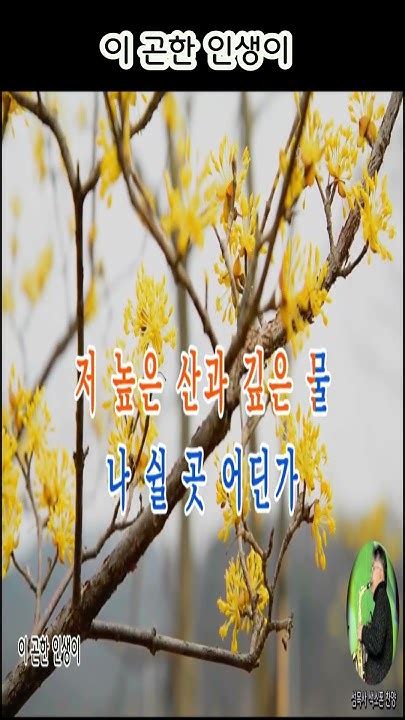 이 곤한 인생이 Shorts Alto 복음송 교회 예배 기도 찬송 찬양대 성화 선교 작은 교회 부흥 외지선교 외딴 섬