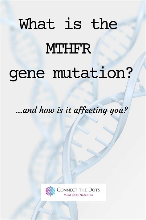 Mthfr Mutation Gene Guidelines Artofit