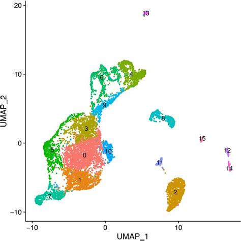 Projection Of Pbmc Scrna Seq Data Onto The First Two Umap Dimensions Download Scientific