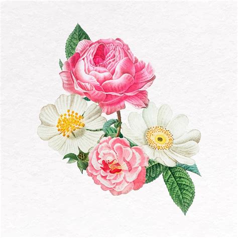 Beautiful Flower Clip Art Botanical Premium Vector Rawpixel