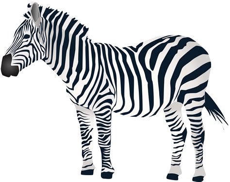 Zebra Png Image Free Word Template