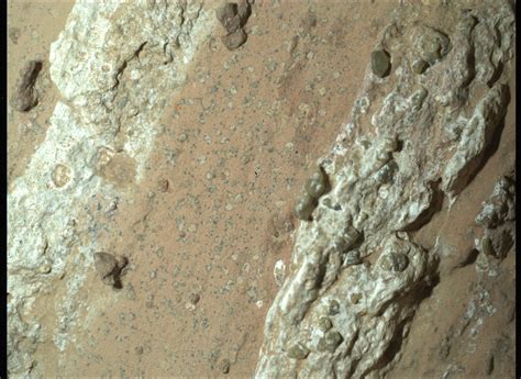 Perseverance Rover Uncovers Odd Stone On Mars See The Zebra Rock