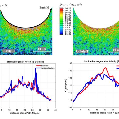 The Importance Of Texture At The Notch Tip On Total And Lattice