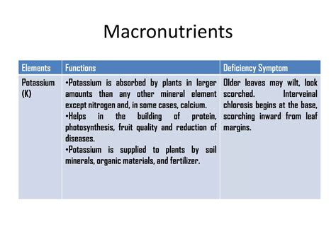 6 9 Macronutrients And Micronutrients In Plants Pptx